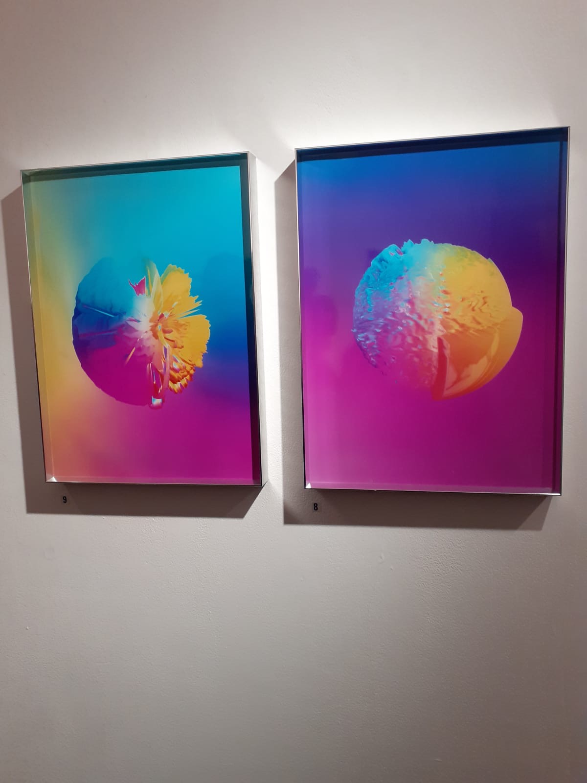 Muse Gallery Portobello: Celebrating 20 years – The neptune Herald